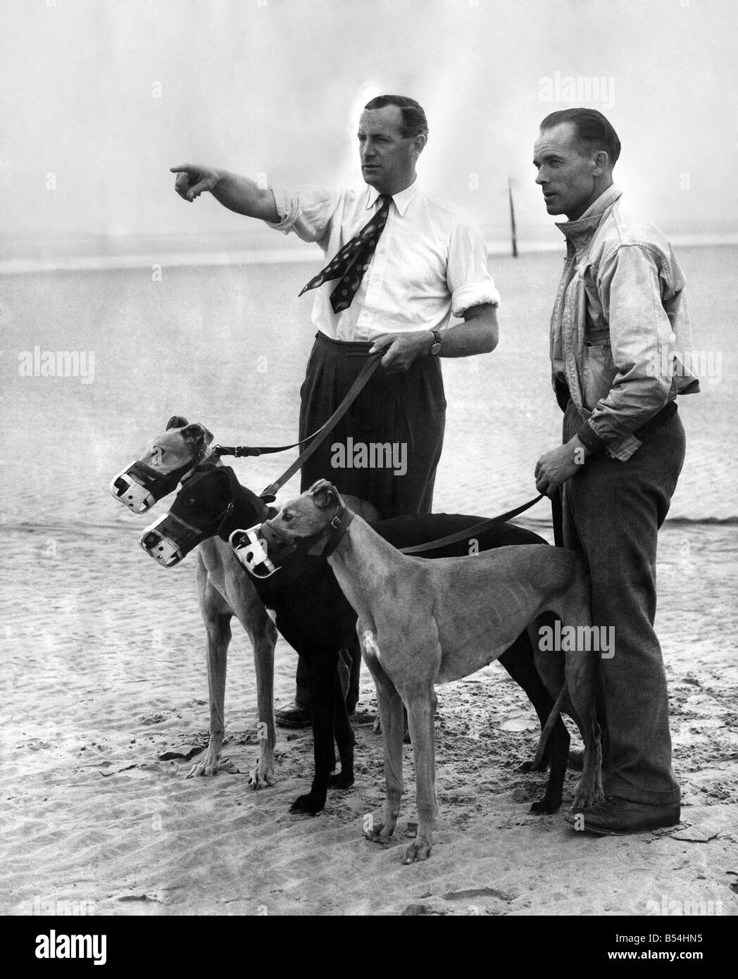 Trainer Leslie Reynolds (pointing) with his head kennelman 'Jinks ...