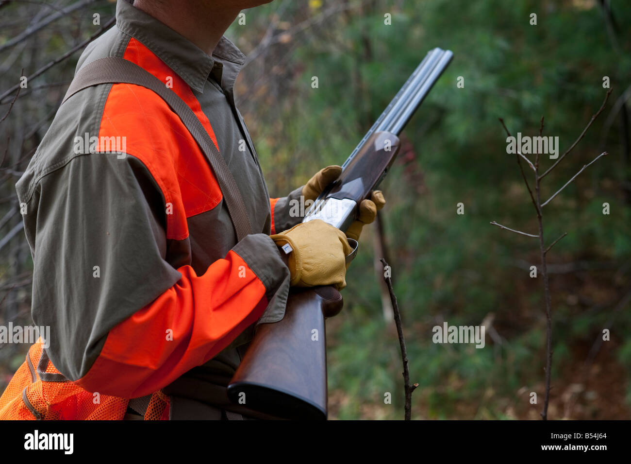 Grouse hunting in new brunswick hi-res stock photography and images - Alamy