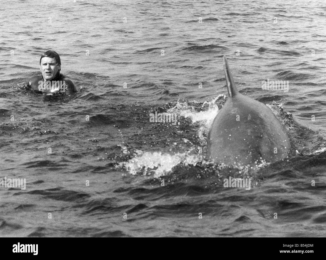 People say dolphin hi-res stock photography and images - Alamy