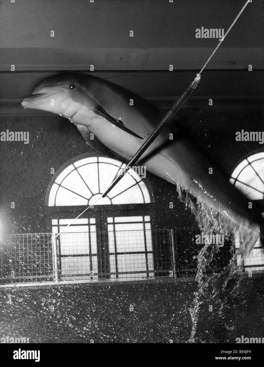 Brighton aquarium hi-res stock photography and images - Alamy