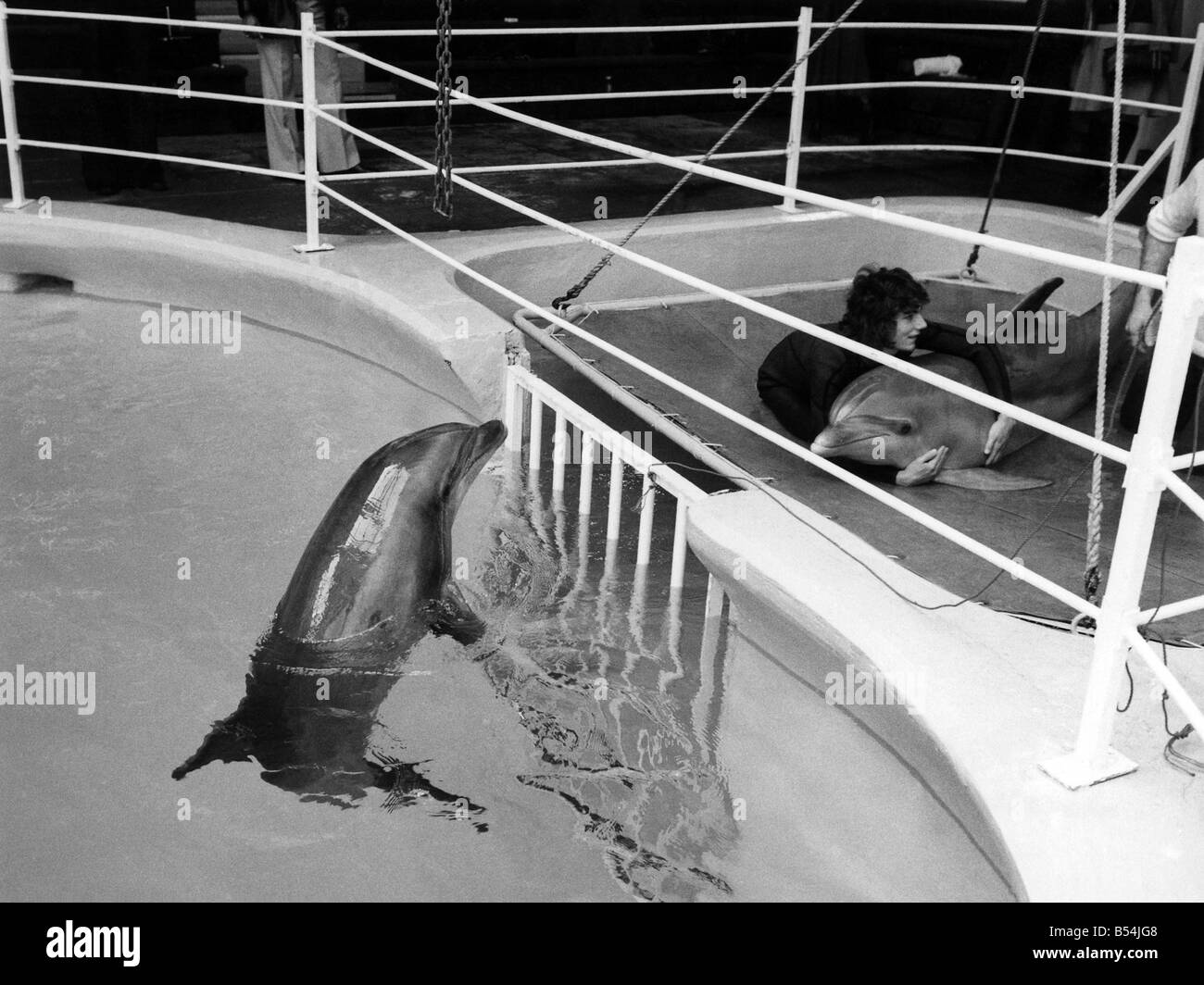 As Bonnie the dolphin is held down for the vet by her trainer, John ...