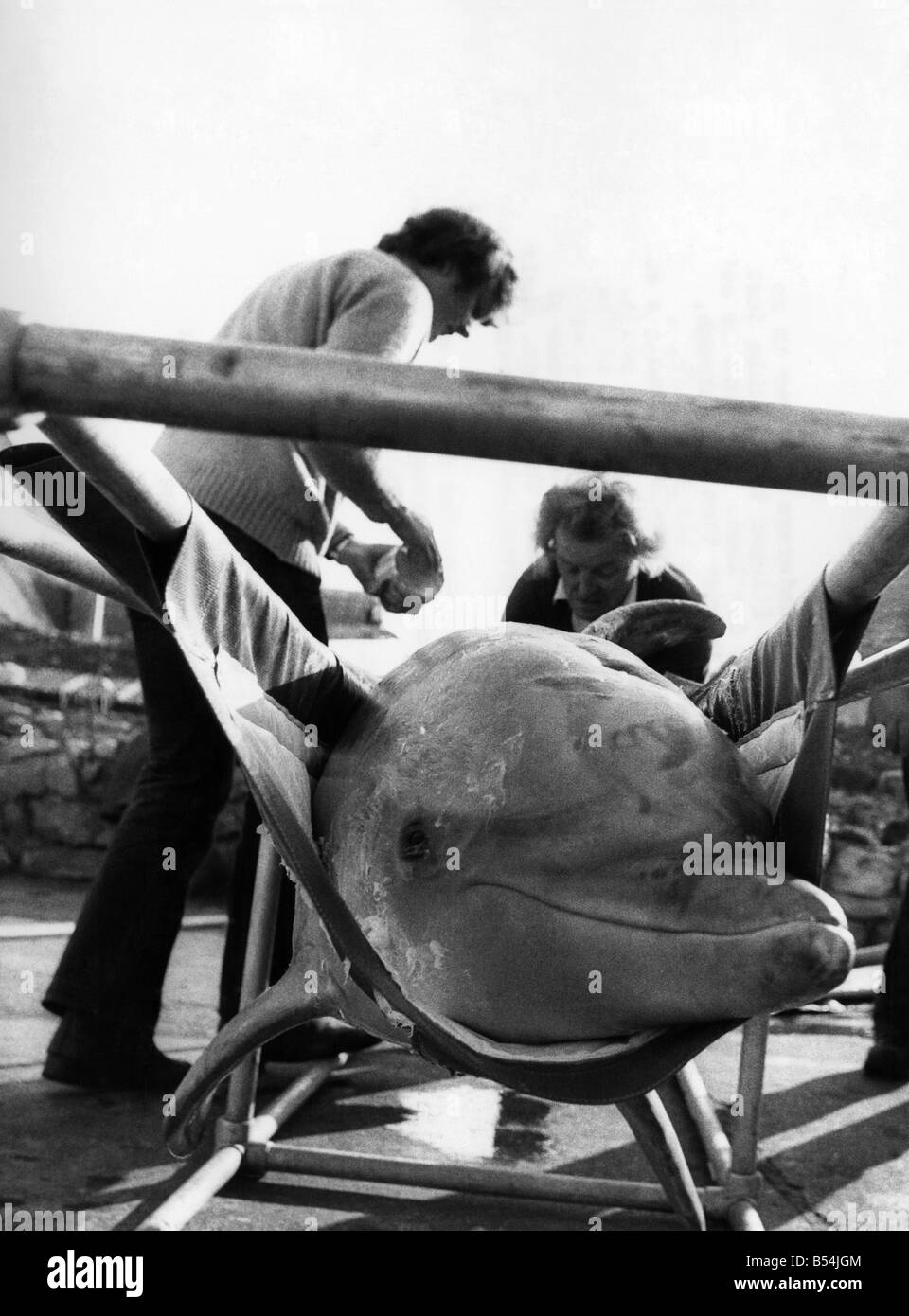 A smile from fun-loving Flipper the dolphin as he is prepared for the ...