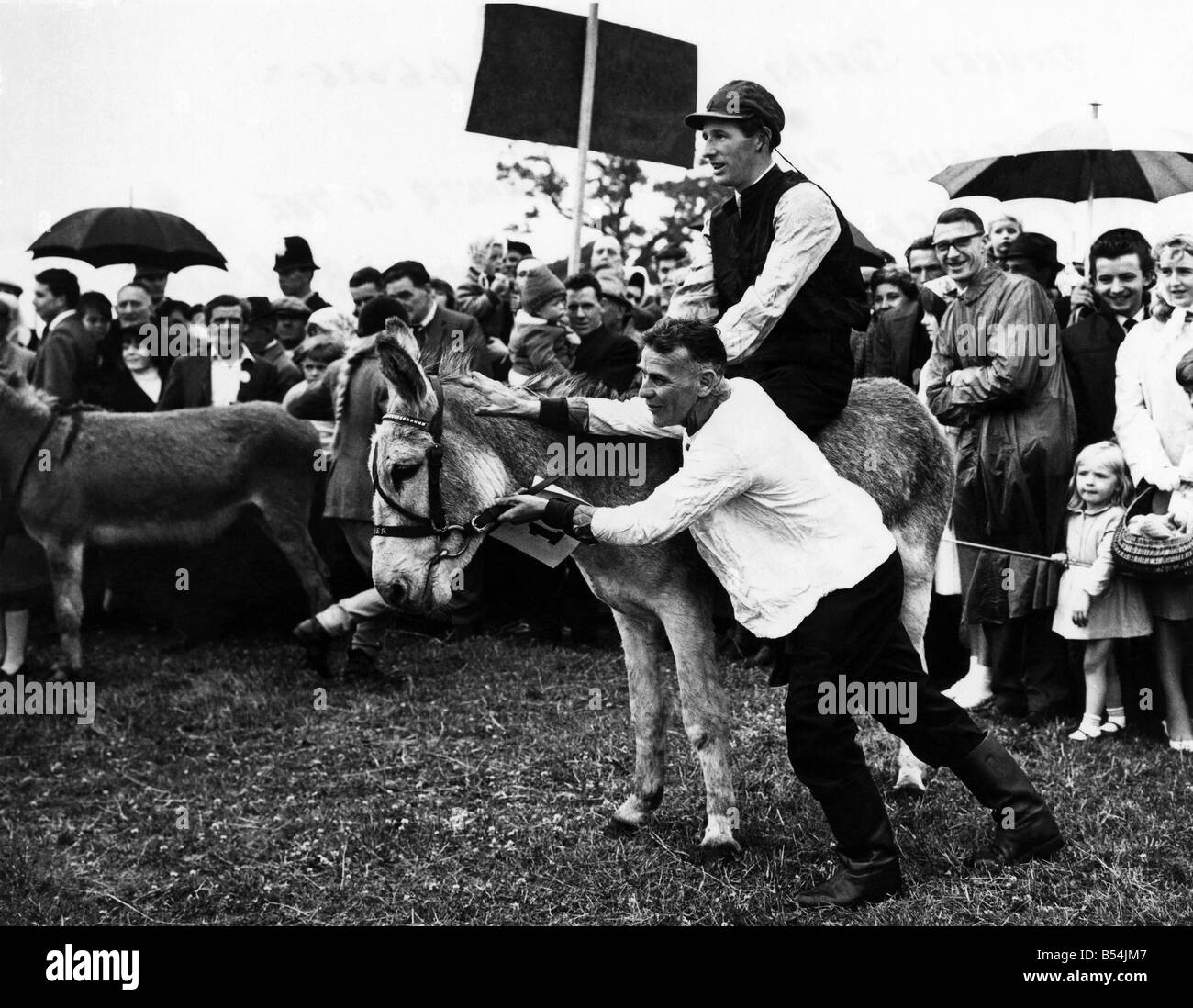 Donkey race Black and White Stock Photos & Images - Alamy
