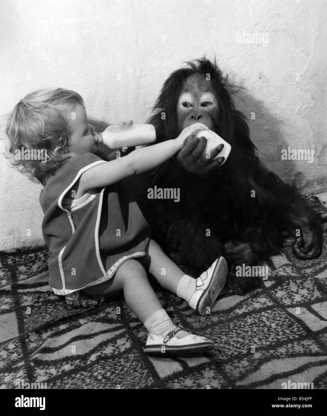 Bottles for two at Tracey's tea party. Little Tracey Clews had a friend ...