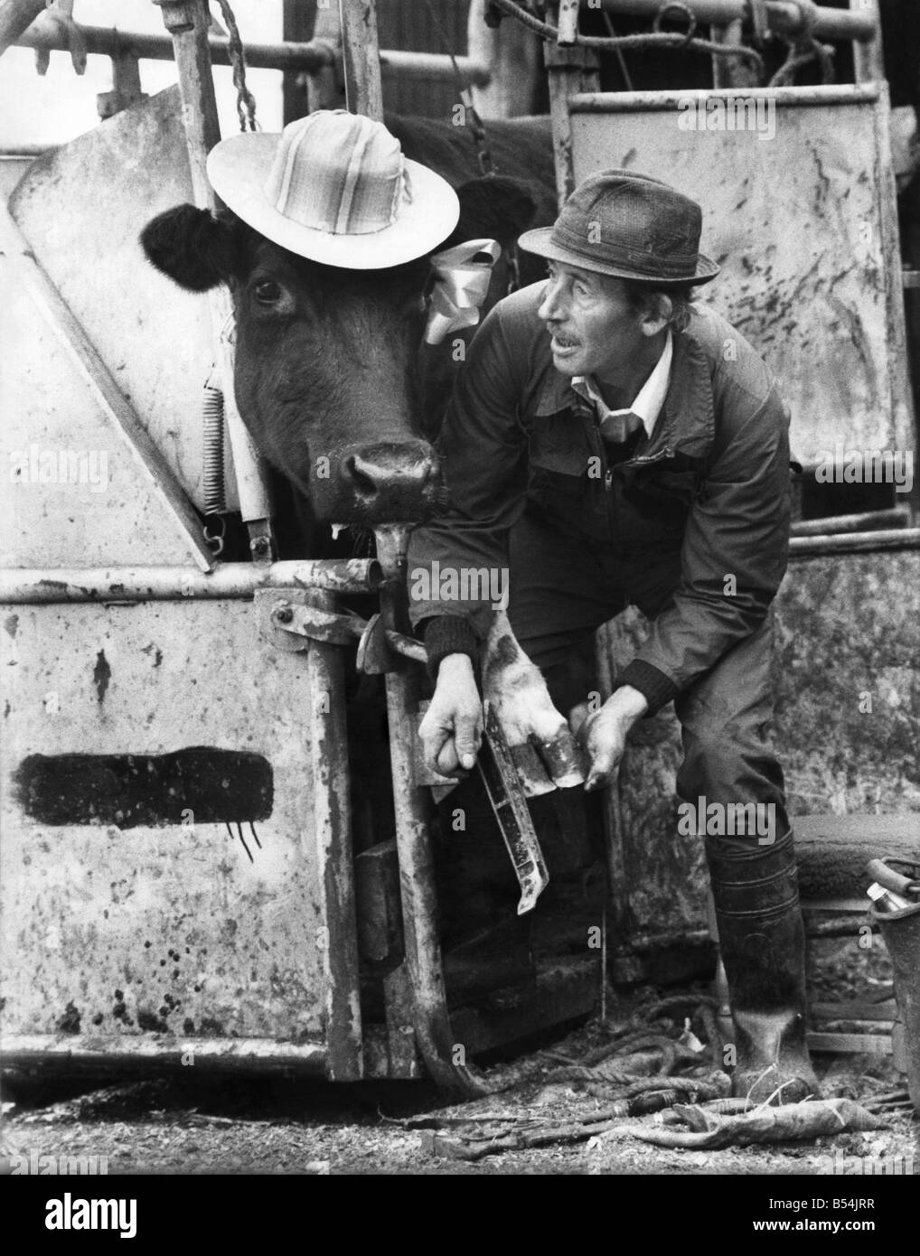 Cut by an expert Black and White Stock Photos & Images - Alamy