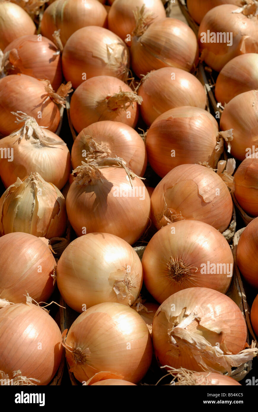 Vetetarian hi-res stock photography and images - Alamy