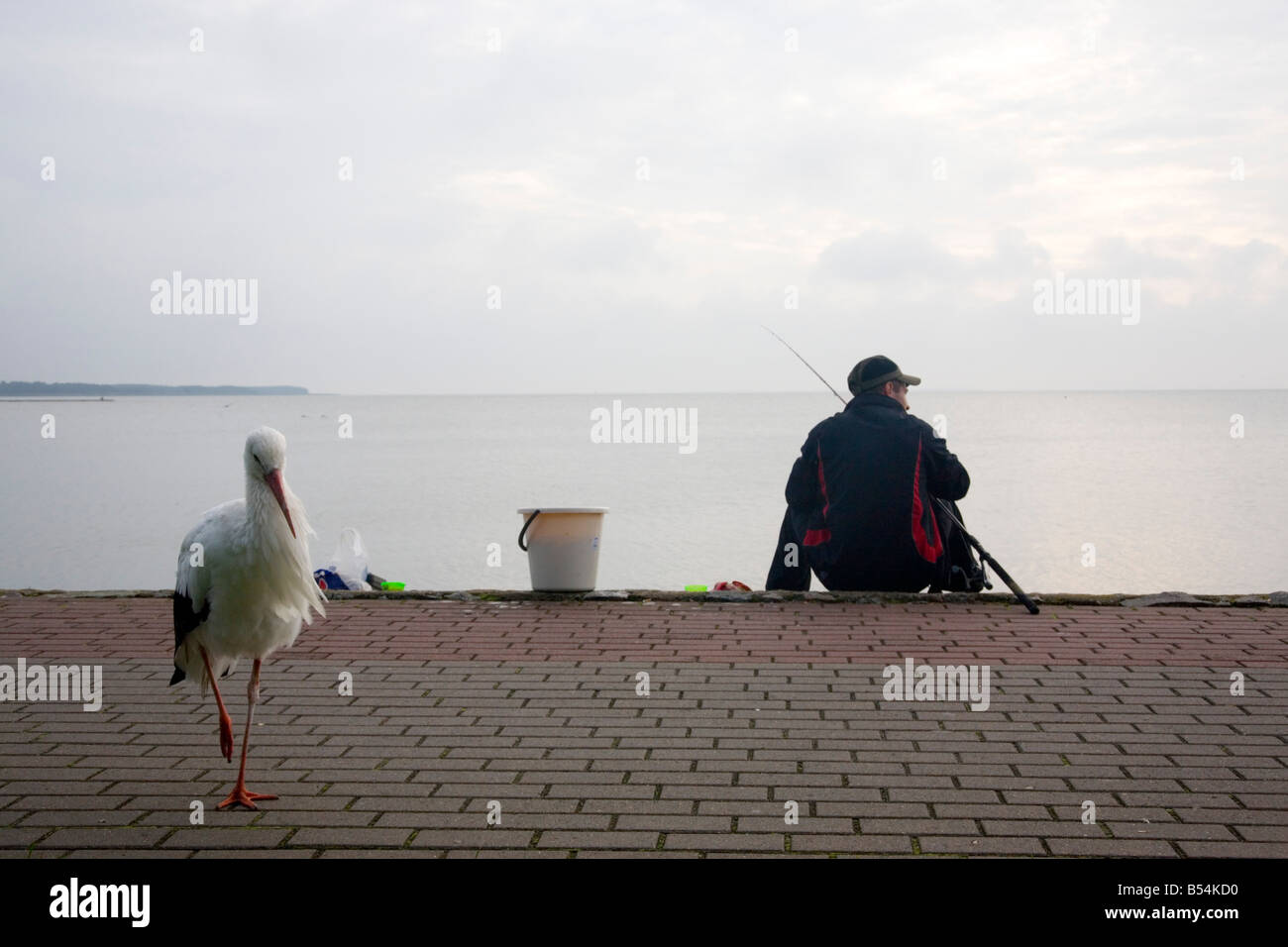 Lithuanian stork hi-res stock photography and images - Alamy