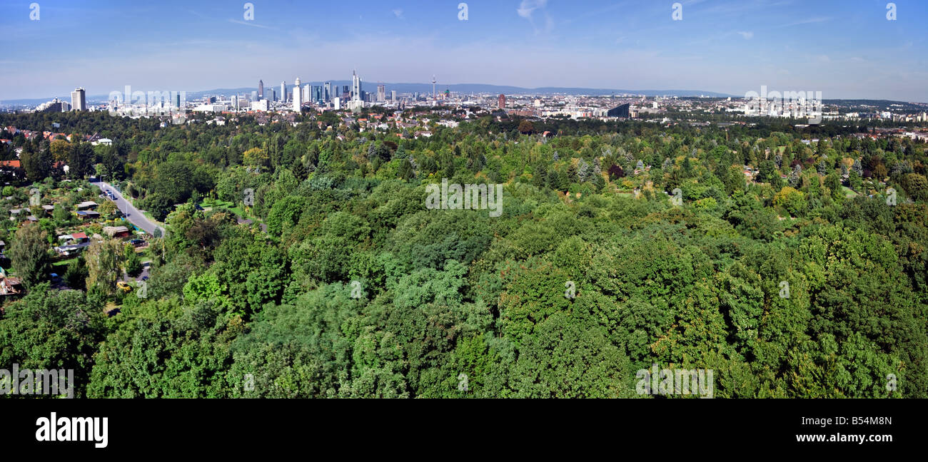 Wide angle forest hi-res stock photography and images - Alamy