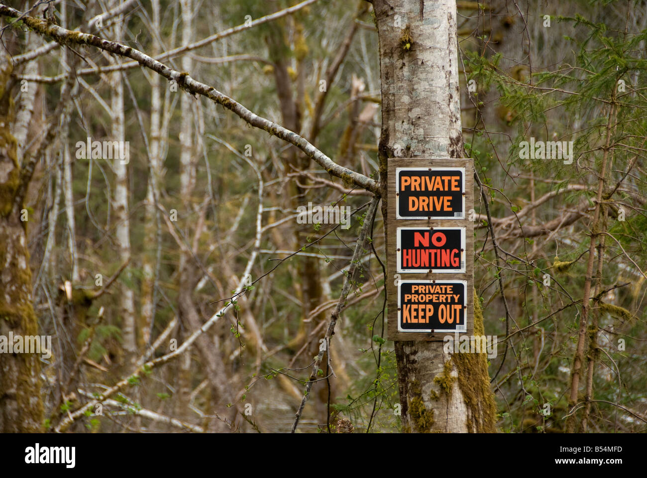 Three signs posted on tree warning people to keep off of property ...