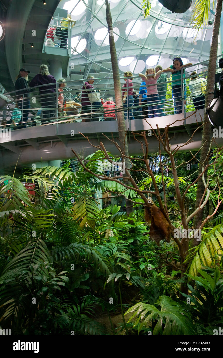 Rainforests of the World Exhibit California Academy of Sciences Golden ...