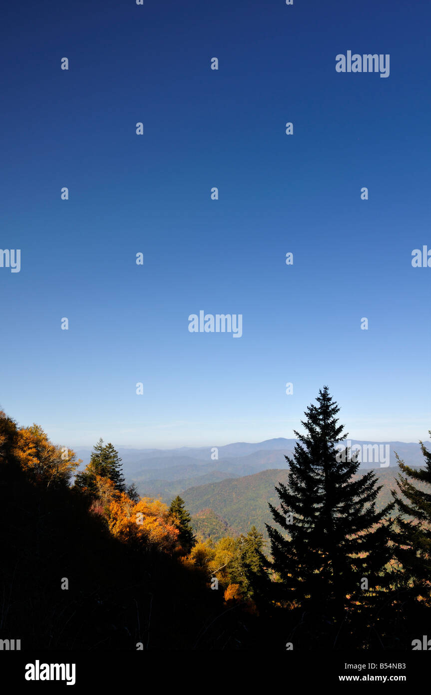 Cranberry Ridge on Blue Ridge Parkway, North Carolina, USA, in early ...