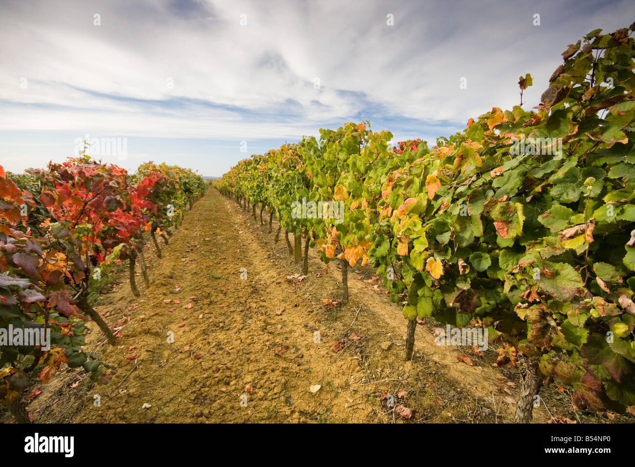 Row of gers hi-res stock photography and images - Alamy