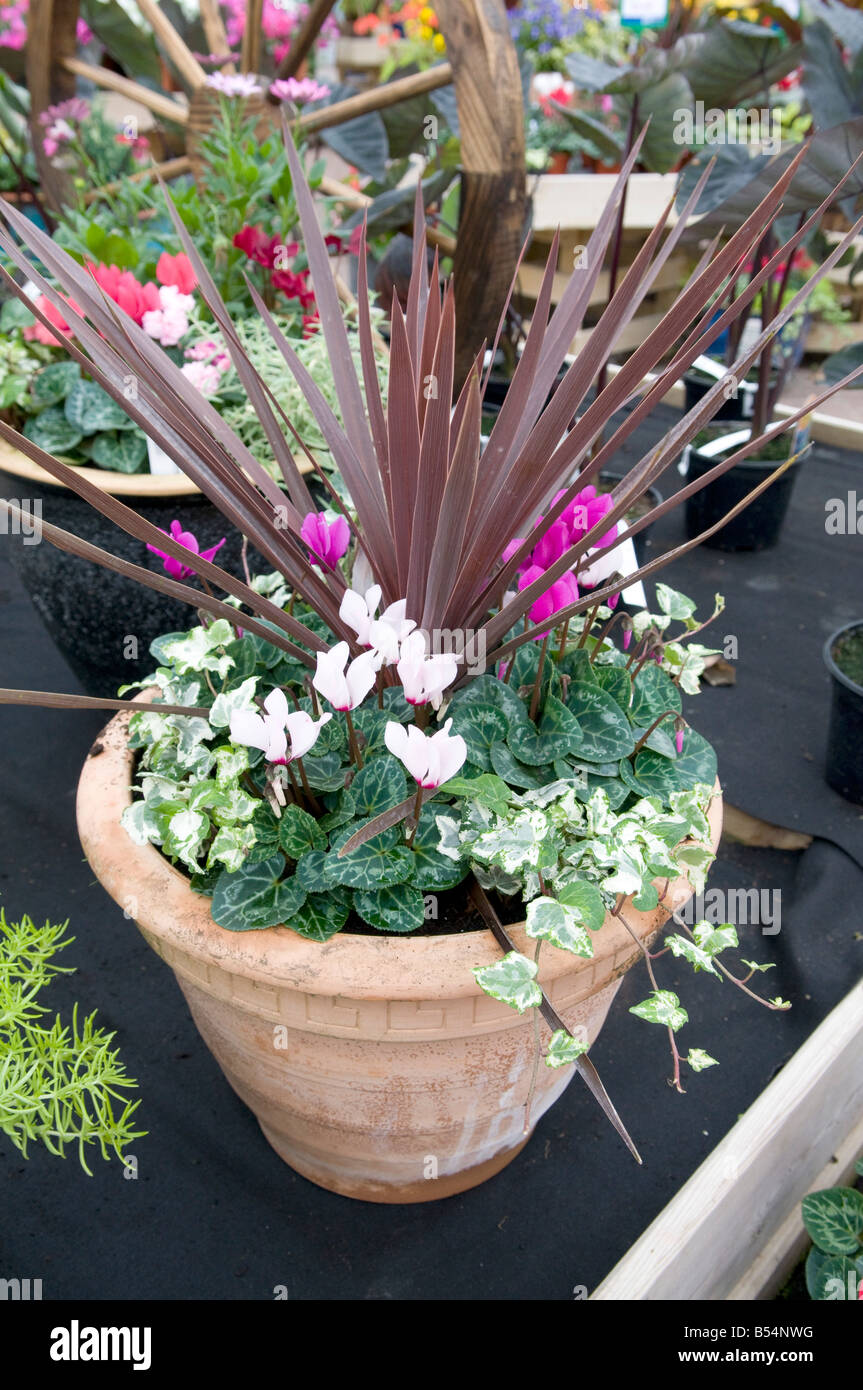 Planted container hi-res stock photography and images - Alamy