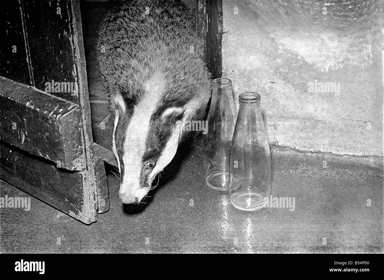 Eight year old Rebecca Gaskell, together with her five year old sister ...