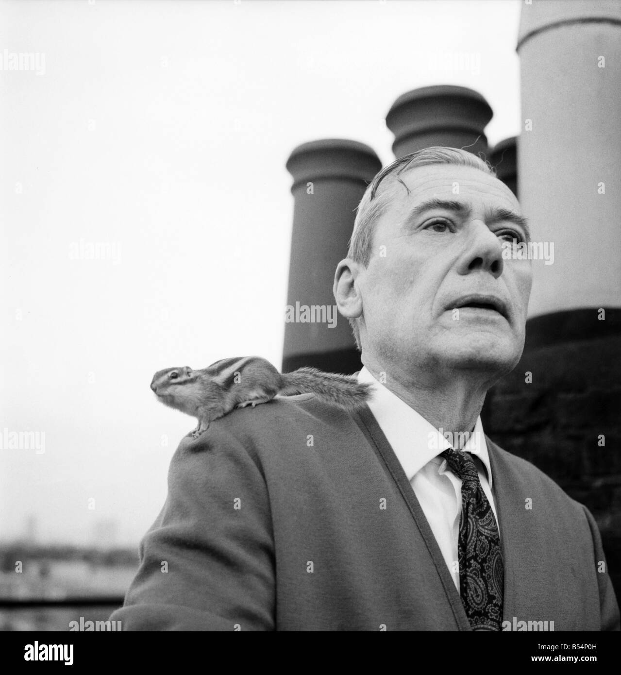 Author Mr. Gert Helemae or Campden Hill Mansions, Edge Street, London ...