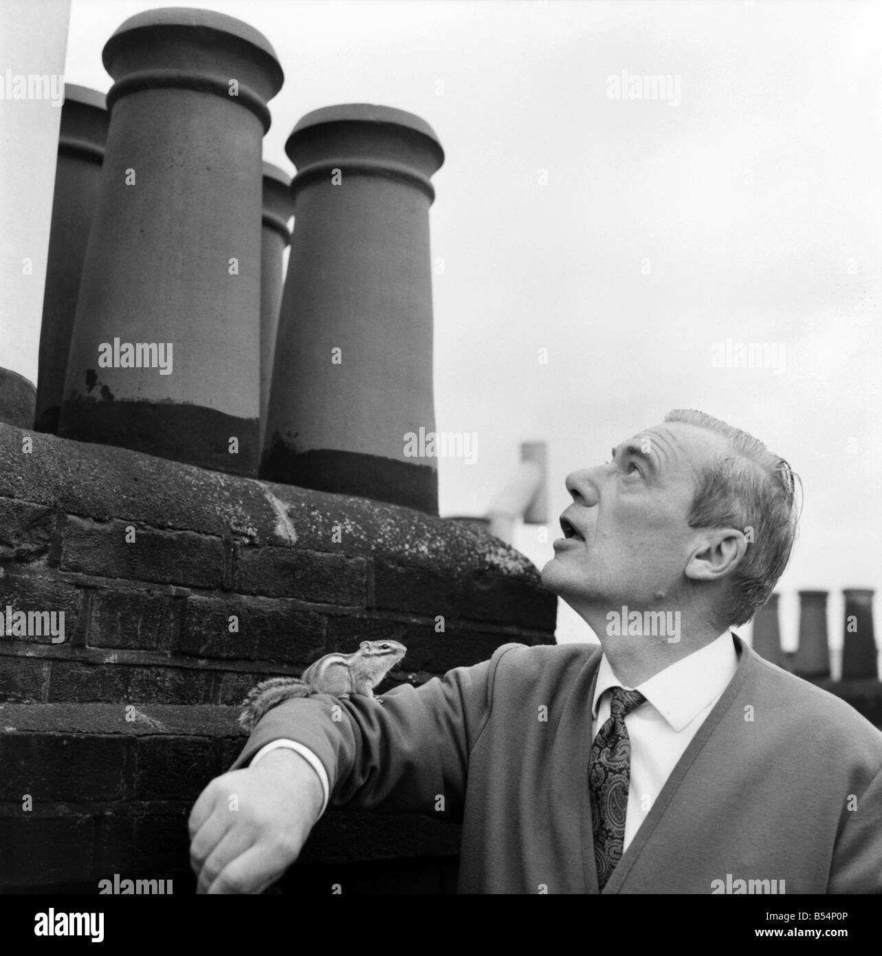 Author Mr. Gert Helemae or Campden Hill Mansions, Edge Street, London ...