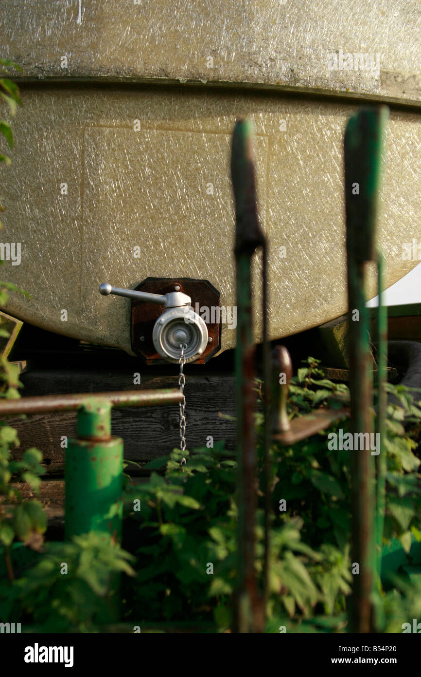 Overgrown water hi-res stock photography and images - Alamy