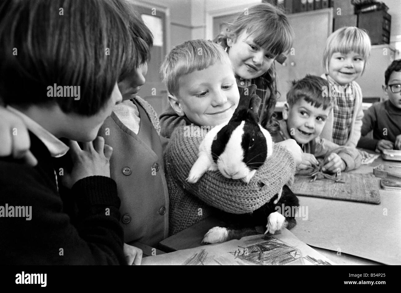 Education animals hi-res stock photography and images - Alamy