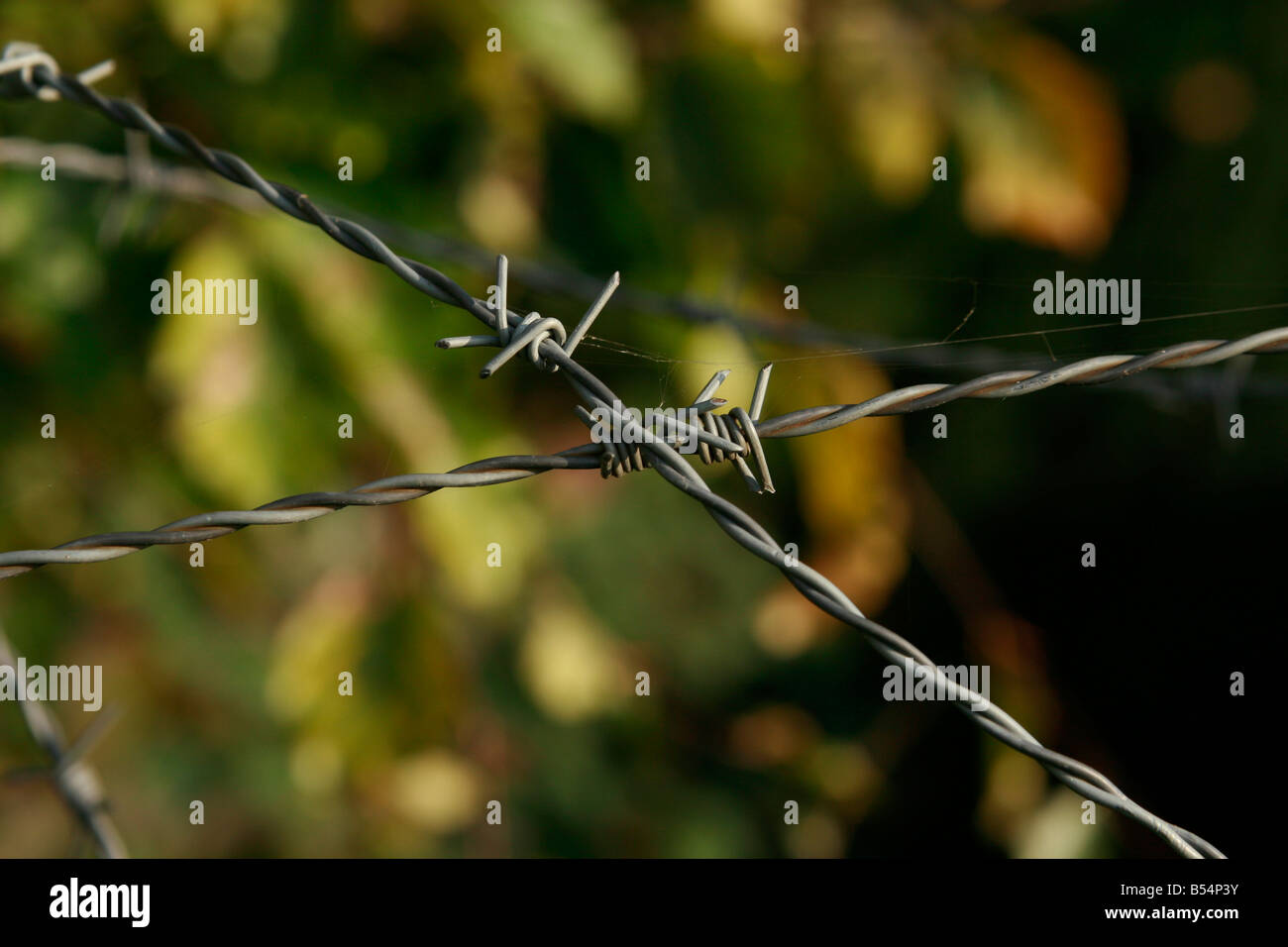 Curled iron fence hi-res stock photography and images - Alamy