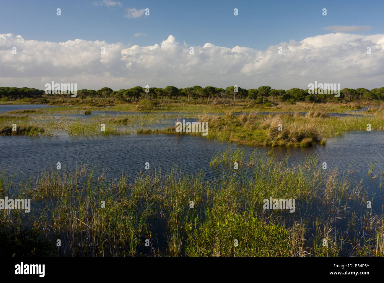 Wetlands spain hi-res stock photography and images - Alamy