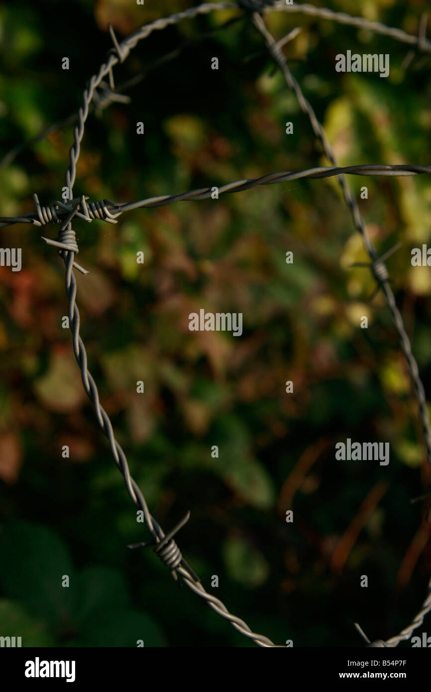 Curled iron fence hi-res stock photography and images - Alamy