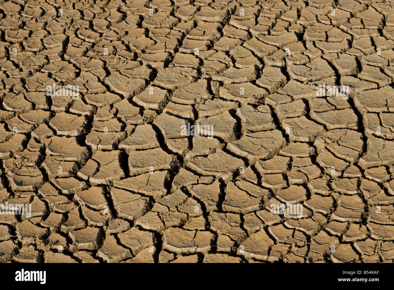 Sunbaked scorched earth hi-res stock photography and images - Alamy