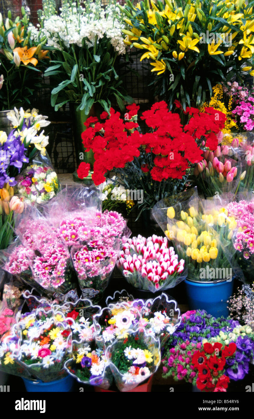A colorful display of flowers in a Flower Market Stock Photo - Alamy