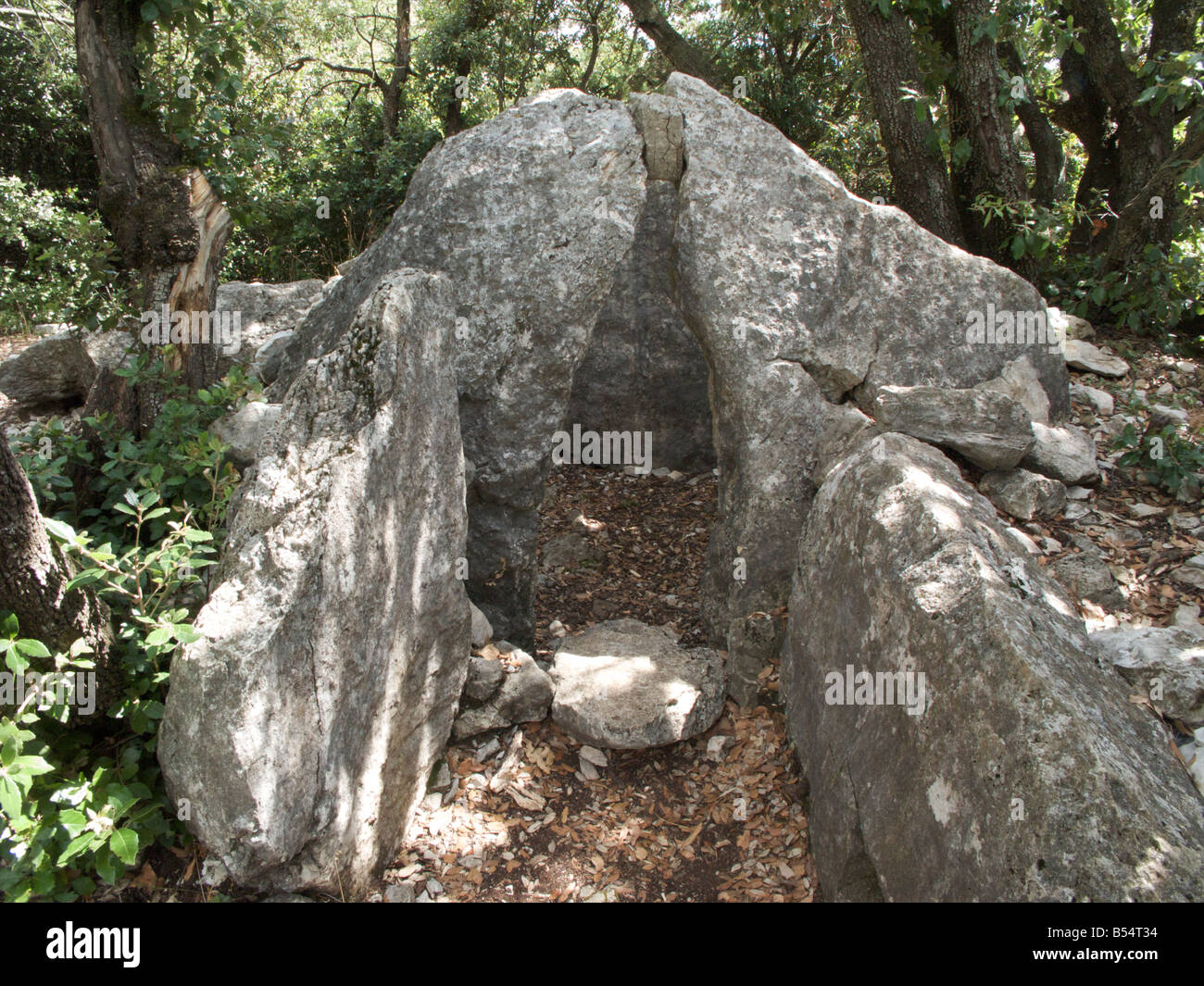 Megalithic Dolmen de Riens in the middle of a forest, Mons en Provence ...
