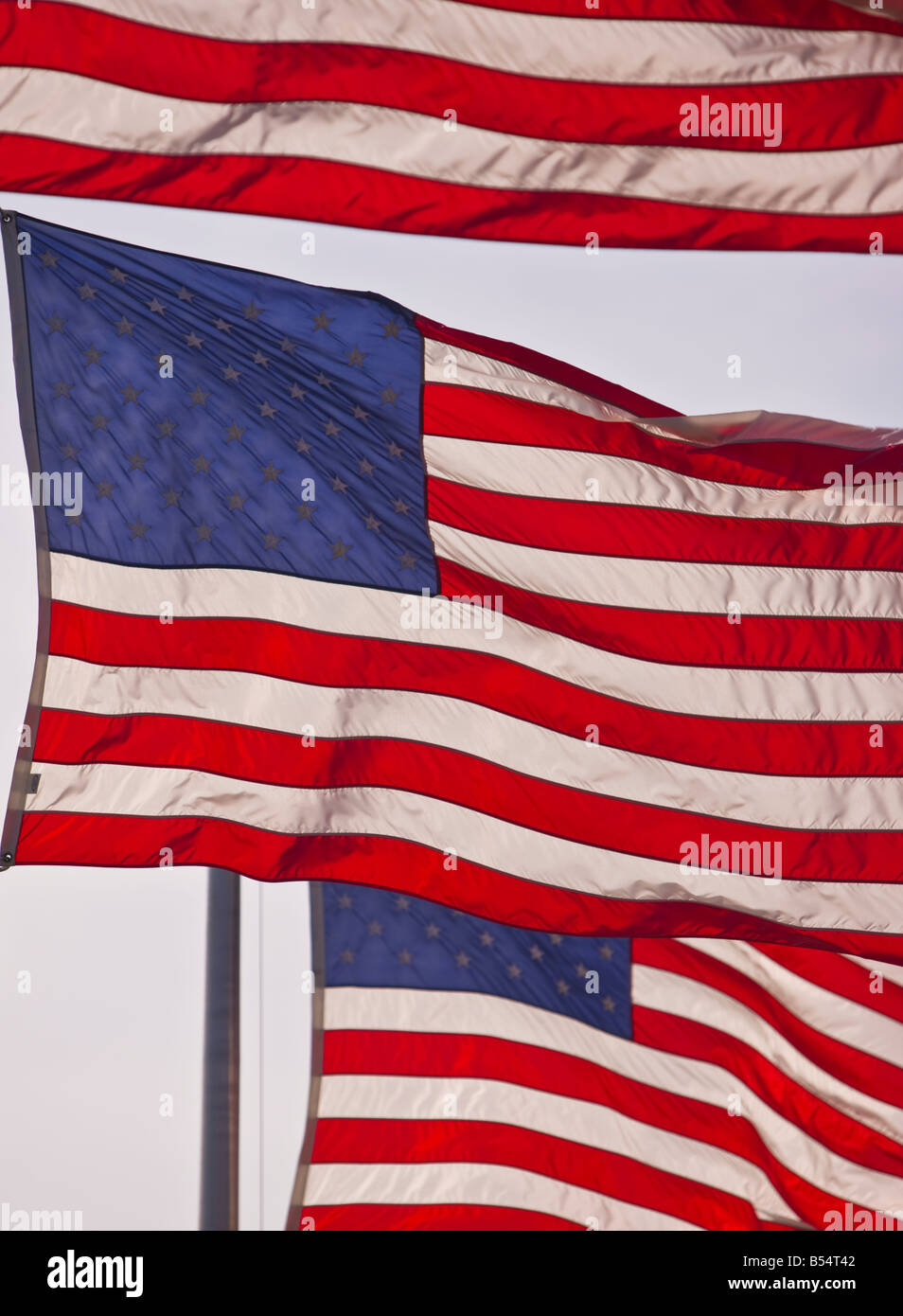 WASHINGTON DC USA United States flags flying on flagpoles at the ...