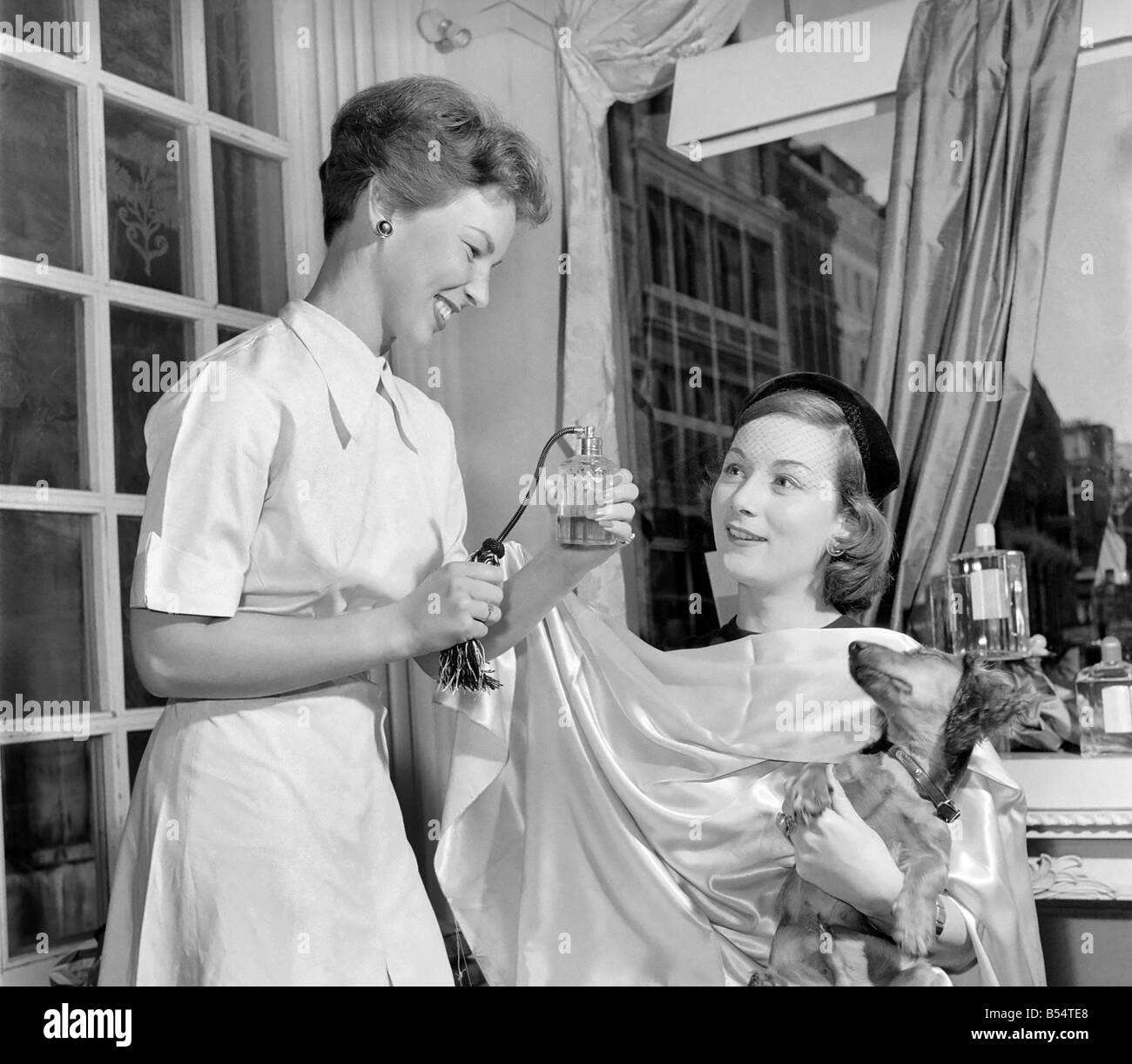 Rosemary harris hi-res stock photography and images - Alamy