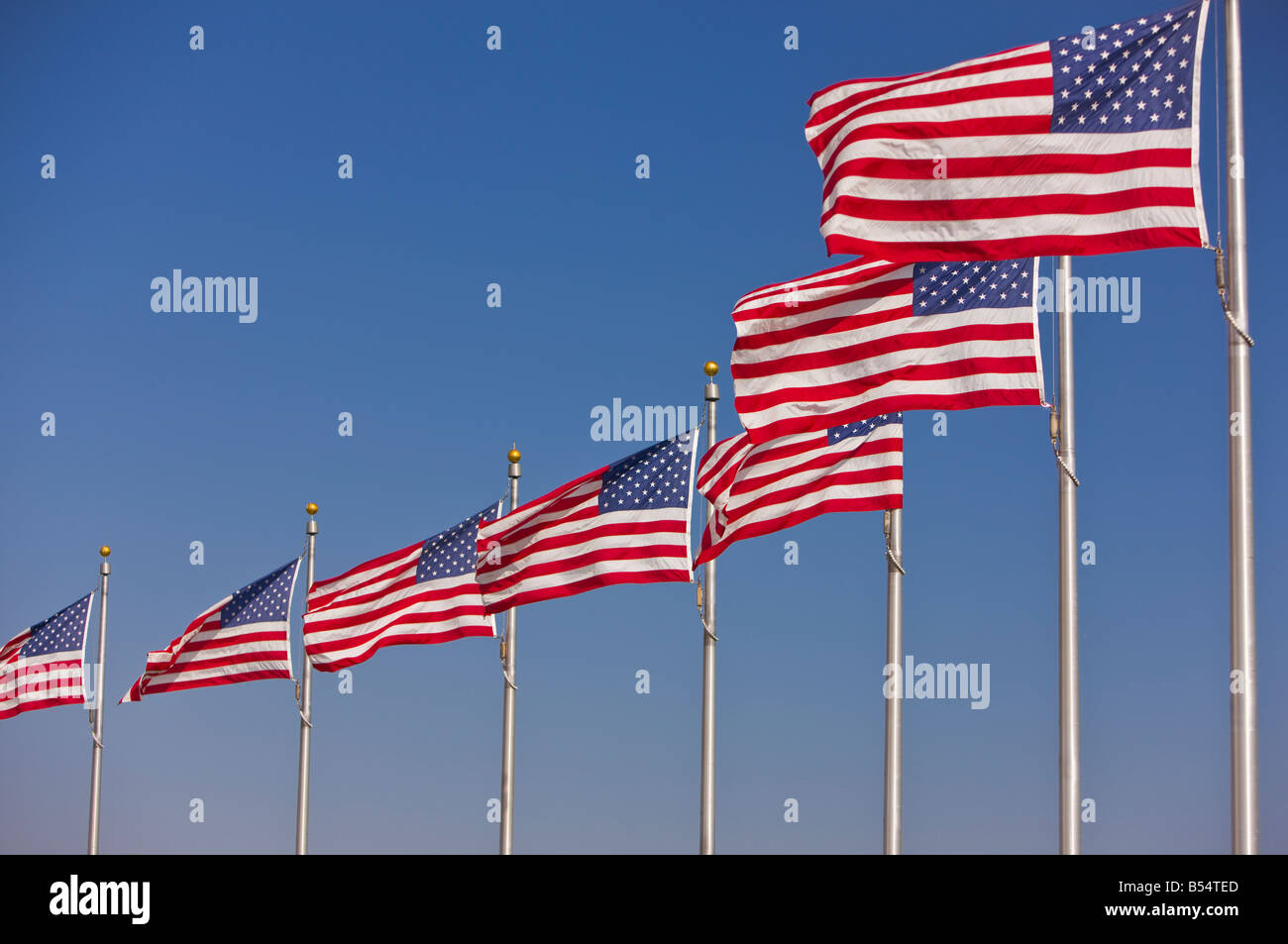WASHINGTON DC USA United States flags flying on flagpoles at the ...