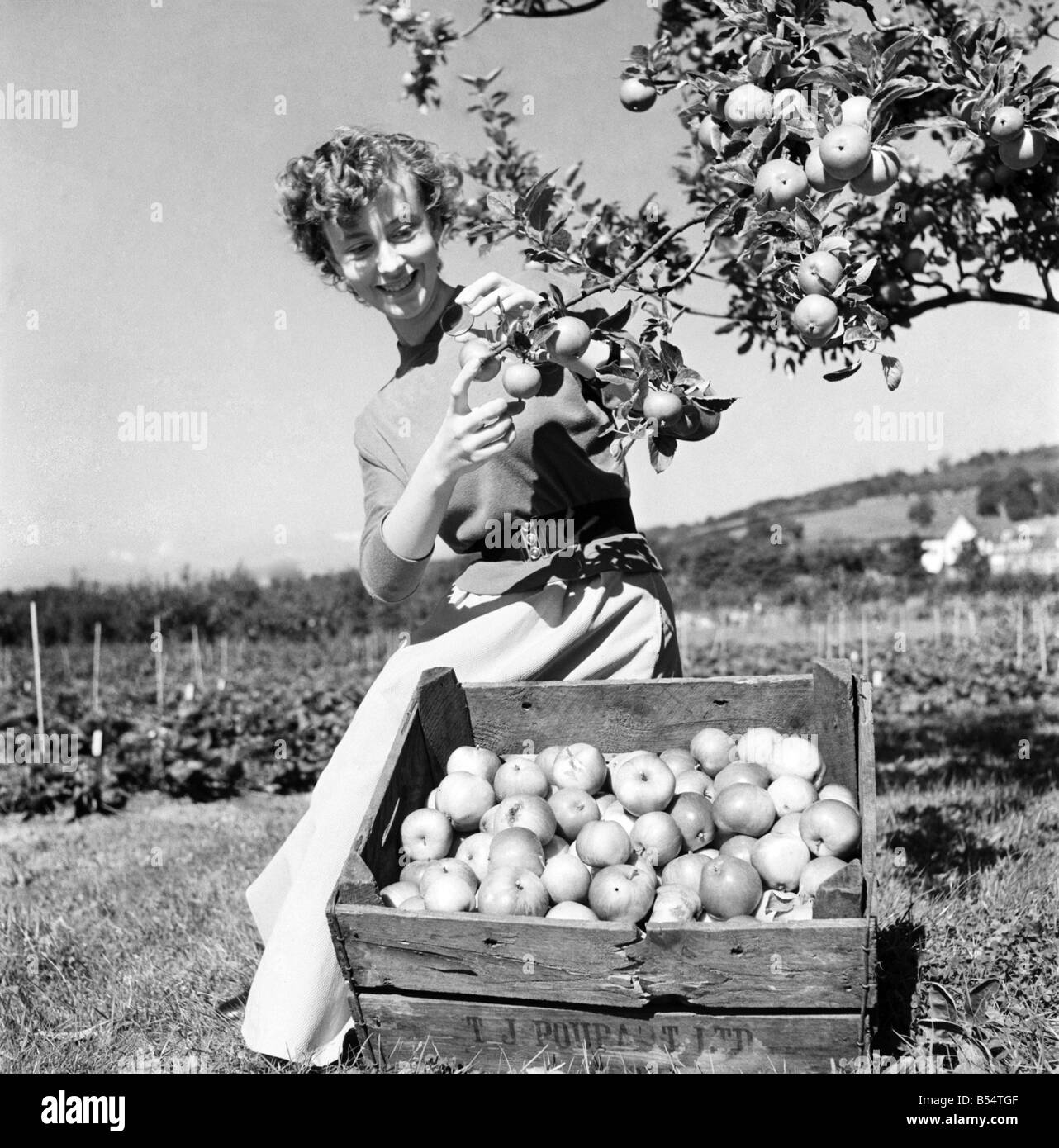 Occupations Pomologist: Meet a Pomologist (student of apples). She is ...