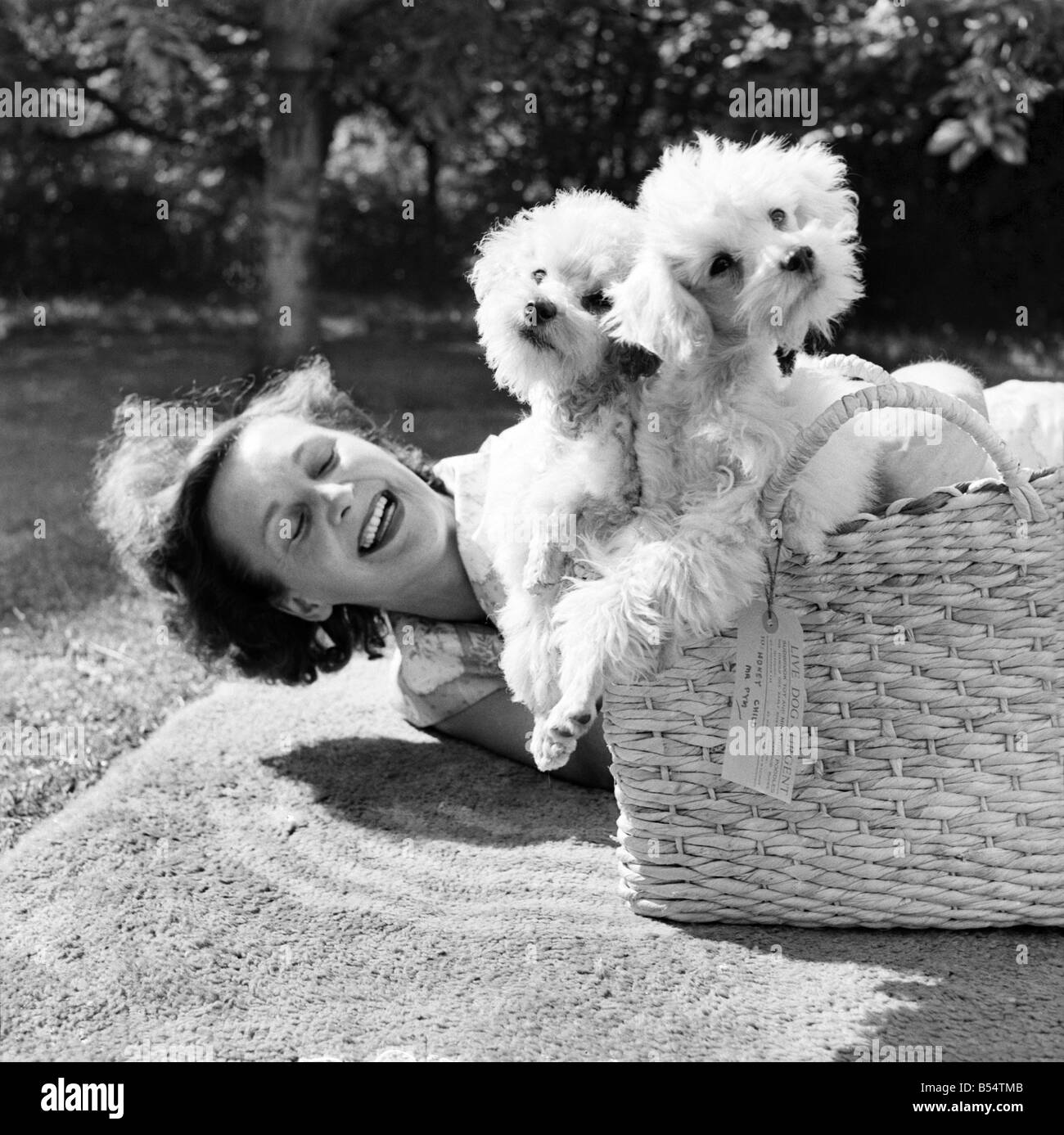 Mrs cox hi-res stock photography and images - Alamy