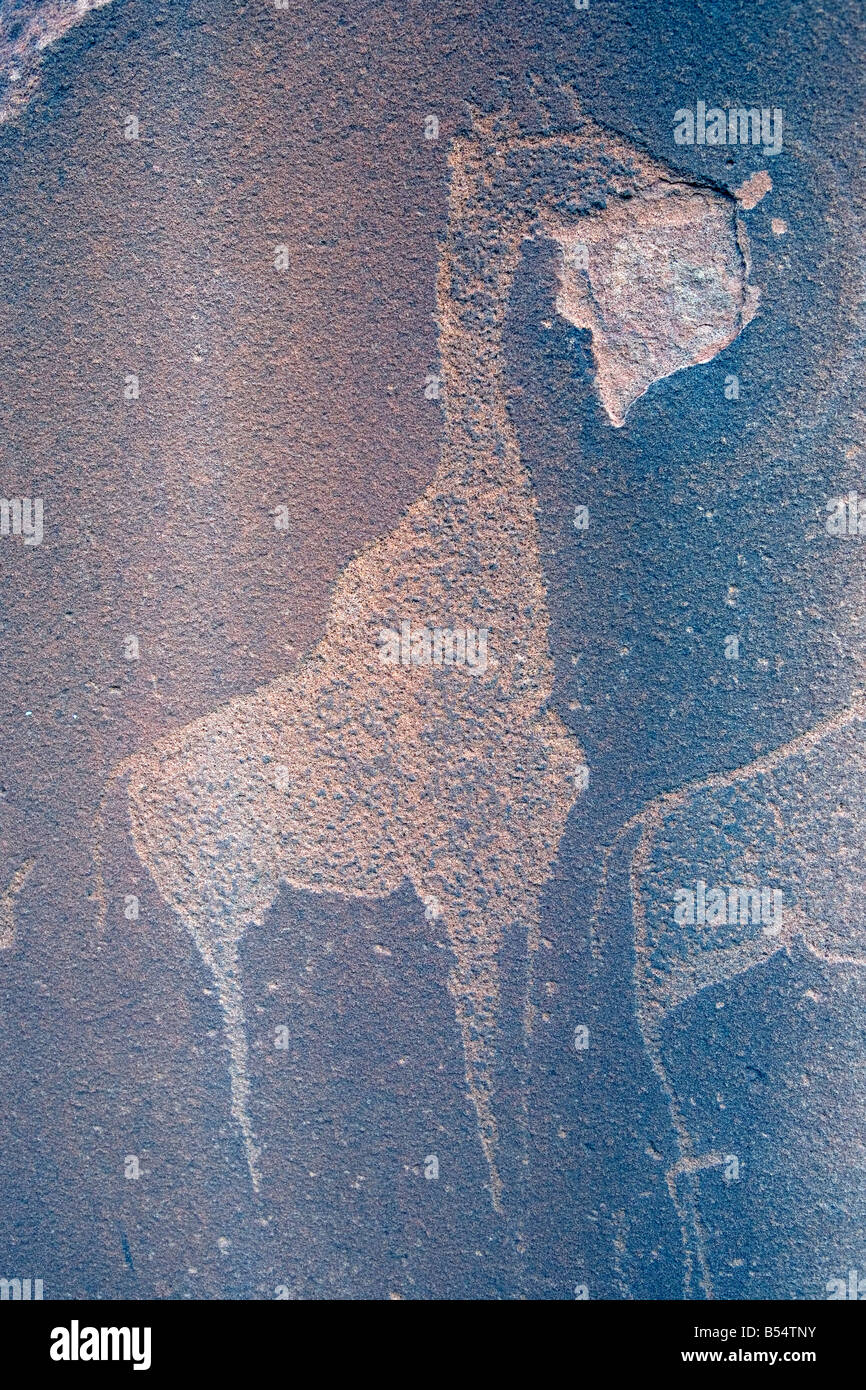 Rock art petroglyphs in Twyfelfontein area in Damaraland Namibia Stock ...