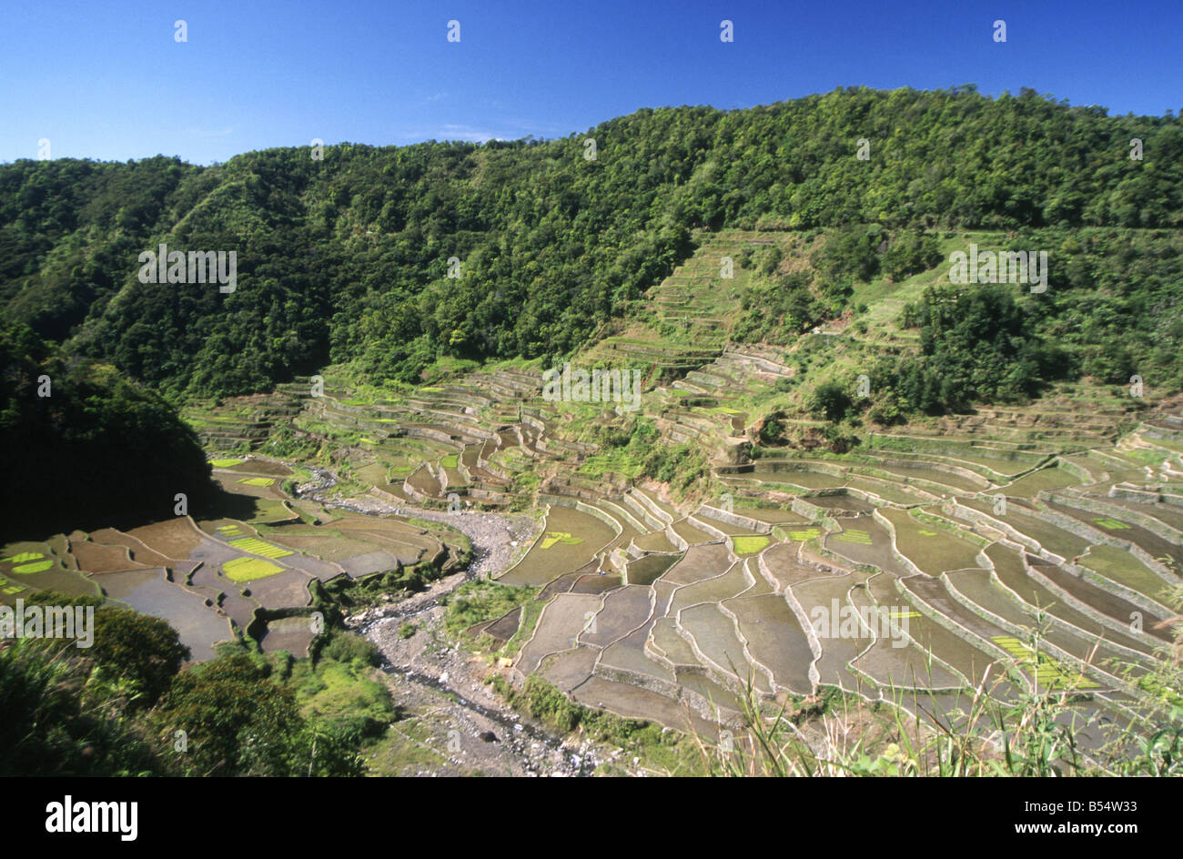 Banawe rice terraces High Resolution Stock Photography and Images - Alamy