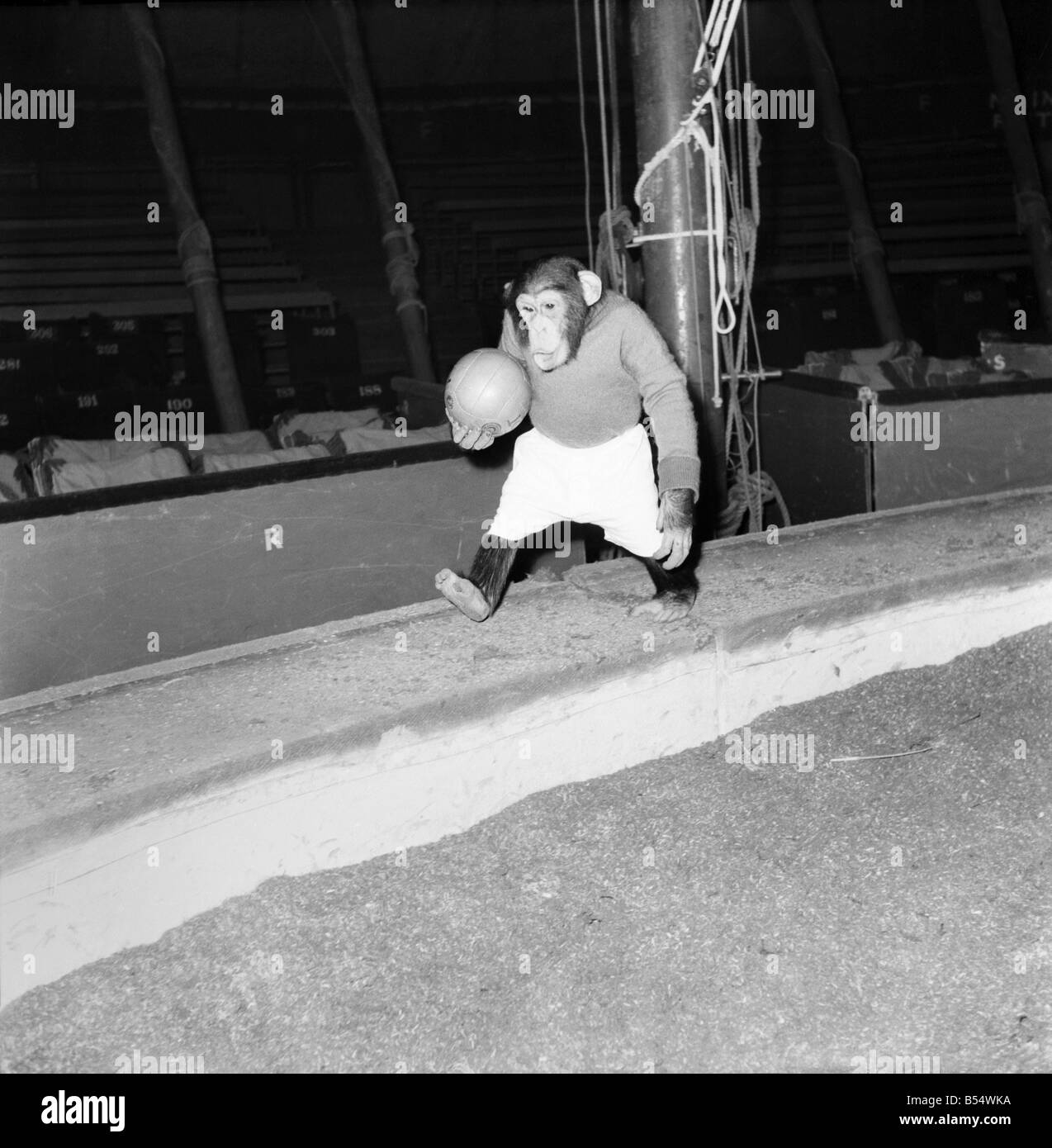 1950s action football sport Black and White Stock Photos & Images - Alamy