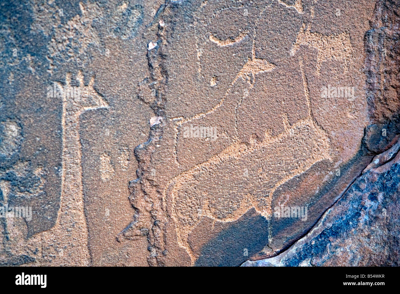 Rock art petroglyphs in Twyfelfontein area in Damaraland Namibia Stock ...