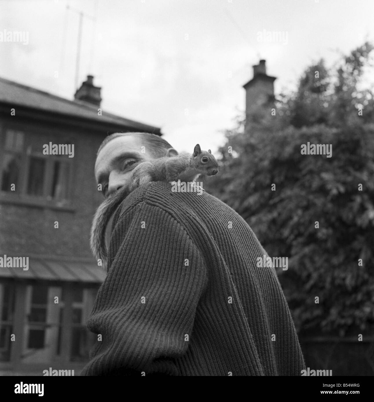 Pet Squirrel John Willy seen here on the shoulder of a man. June 1960 ...