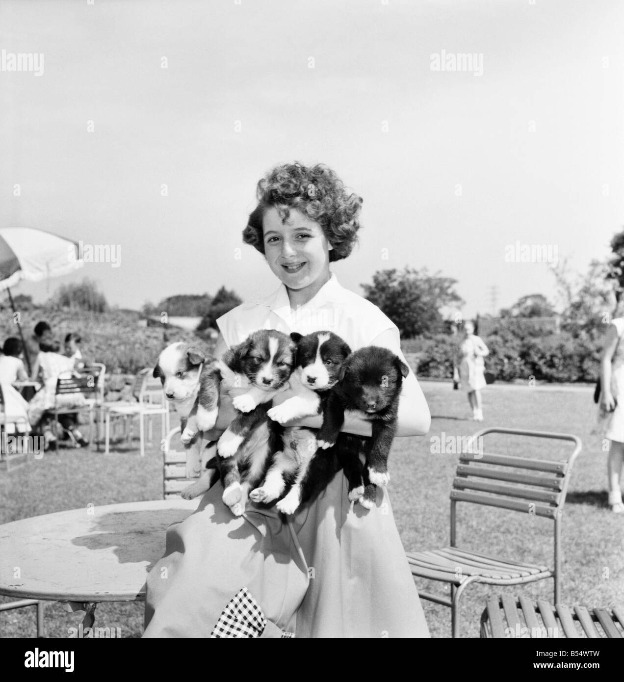 Simpson corner hi-res stock photography and images - Alamy