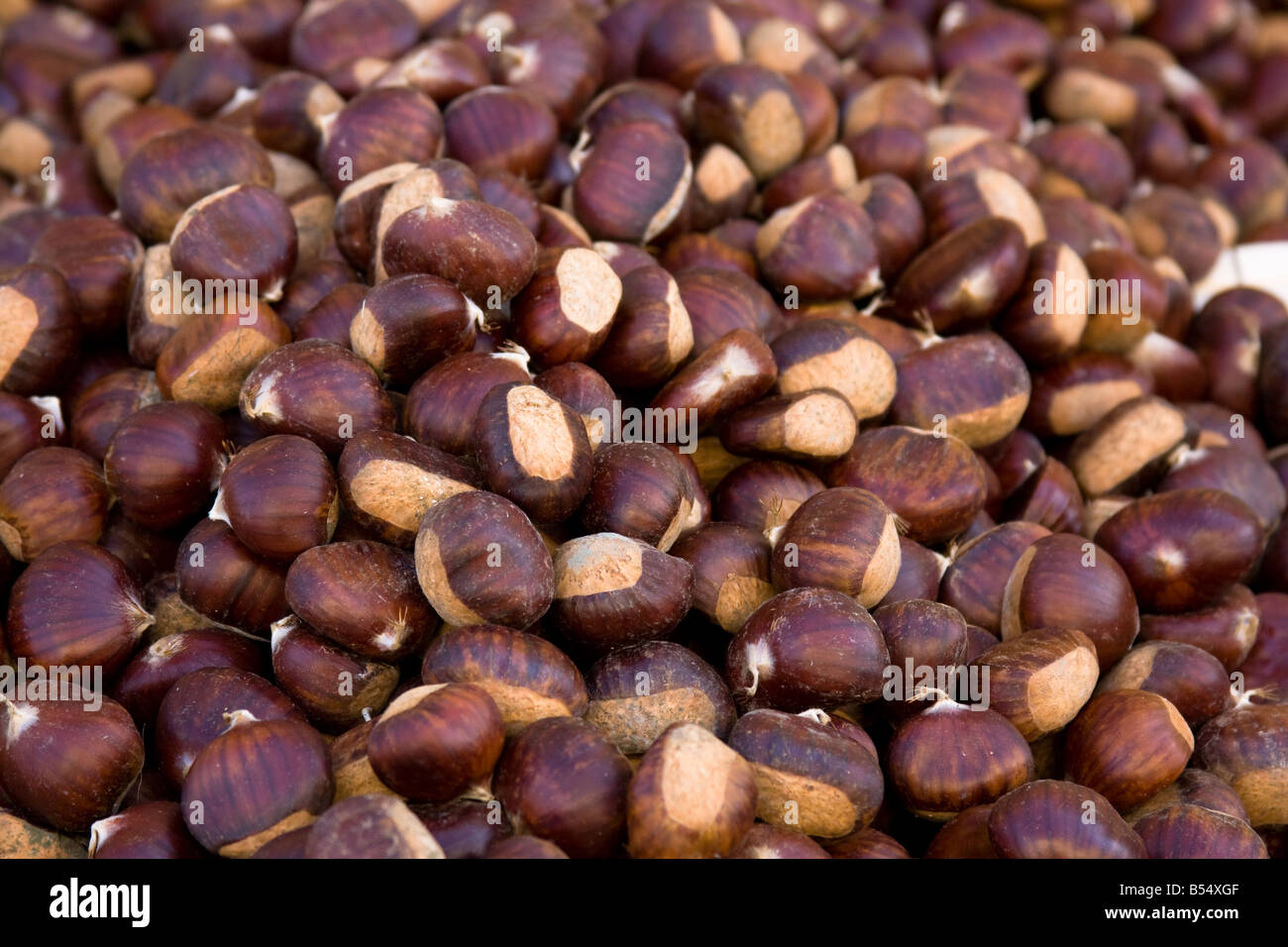 Chestnuts Market at Vic Fezensac - Southern France Stock Photo - Alamy