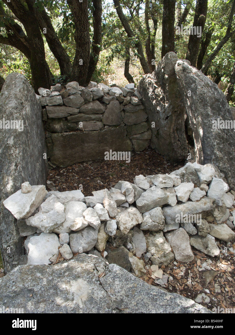 Megalithic Dolmen de Riens in the middle of a forest, Mons en Provence ...