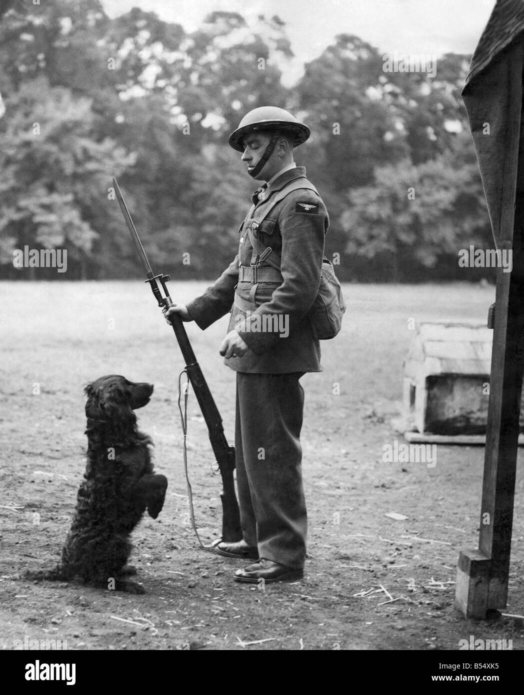 Sentry dogs Black and White Stock Photos & Images - Alamy