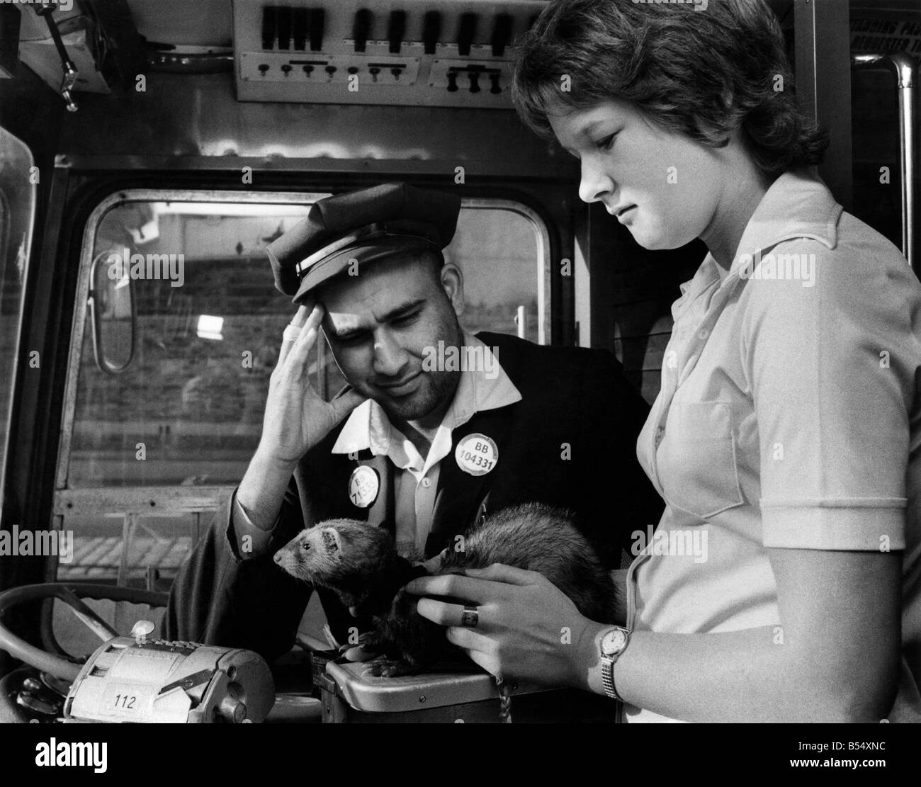 Ferret on a lead Black and White Stock Photos & Images - Alamy