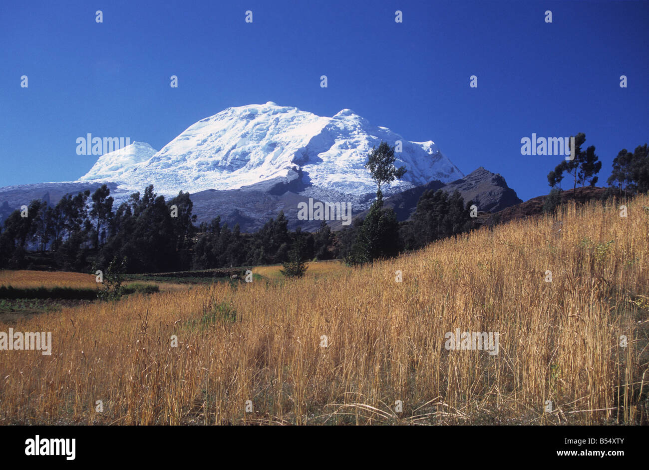 Mt Huascaran and oat field, Huascaran National Park, Cordillera Blanca ...