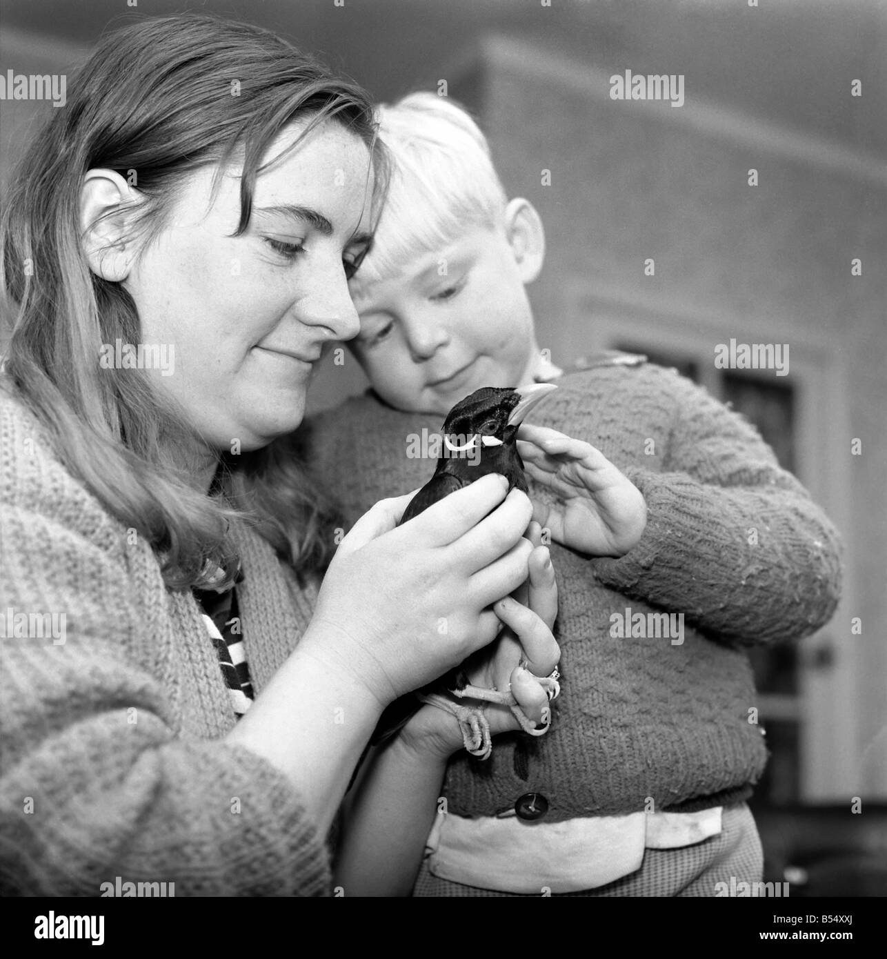 Mrs. Shirley Pickering 23 of Nelson, Lancashire with Jimmy the two year ...