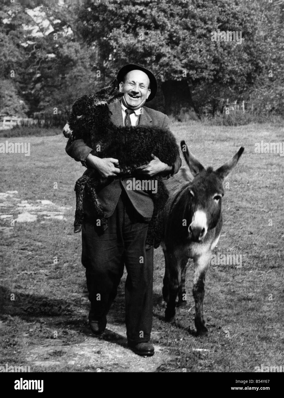 This is an hour-old donkey going by Shanks's pony. And very happy to be ...