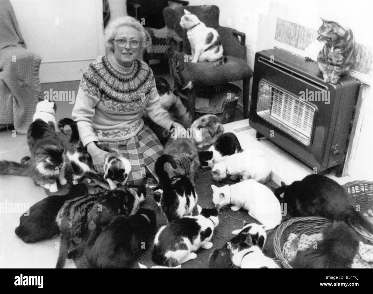 Cats Galore Sylvia Phillips with a few of her friends. July 1988 ...