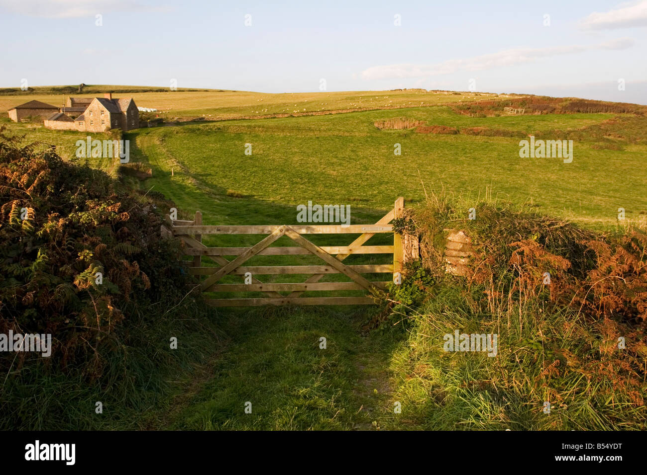 Five bar gate or 5 bar gate hi-res stock photography and images - Alamy