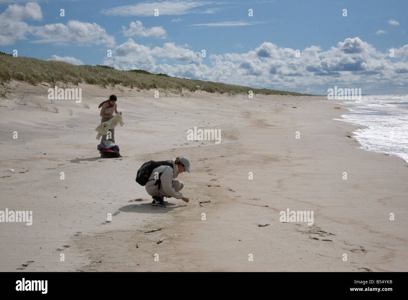 Searching for amber on the Curonian spit beaches Lithuania Baltic sea ...