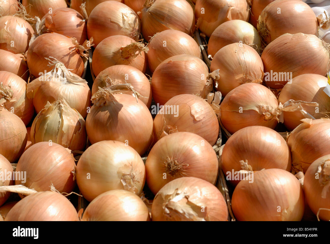 Yellow onions at an open air market Stock Photo - Alamy